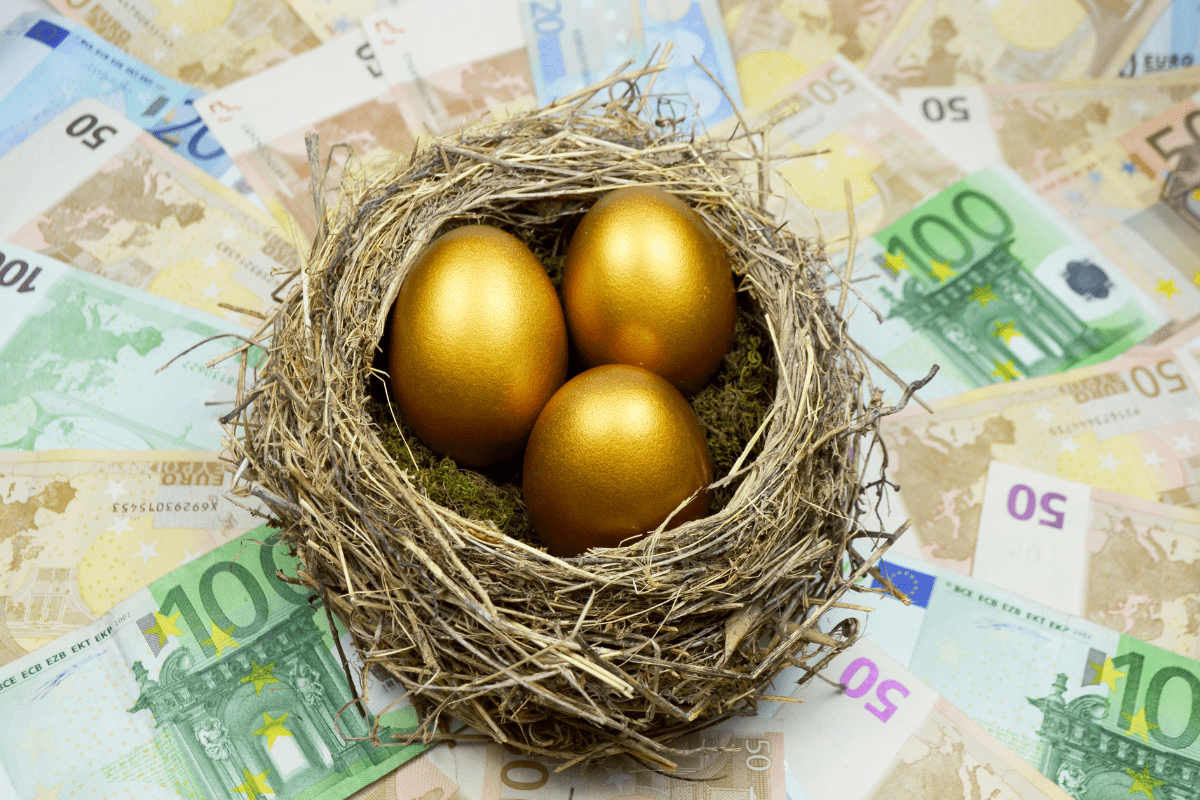 Financial nest egg | How to build your strategic investments